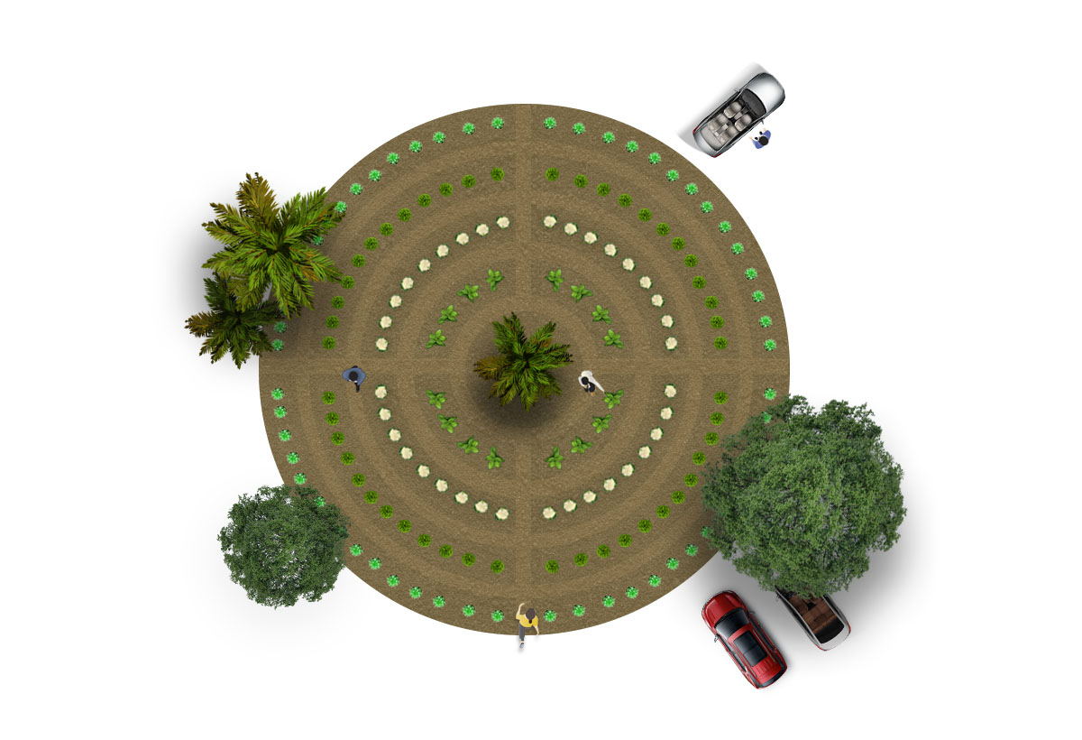 ¿Qué es un huerto circular? - BLOG