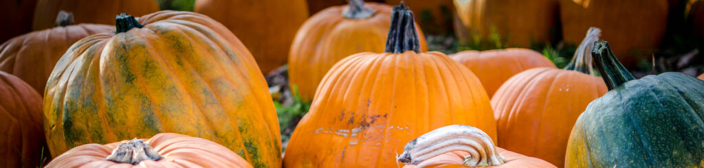 Dar calabazas: más expresiones populares - BLOG