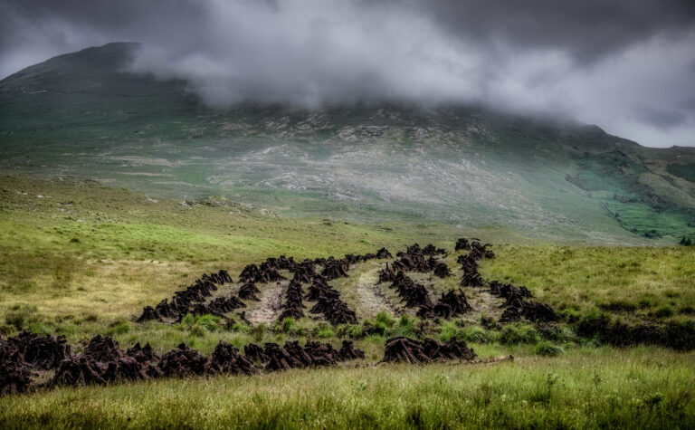 Todo sobre la turba: tipos, características y origen - BLOG