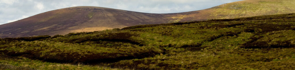 Todo sobre la turba: tipos, características y origen - BLOG